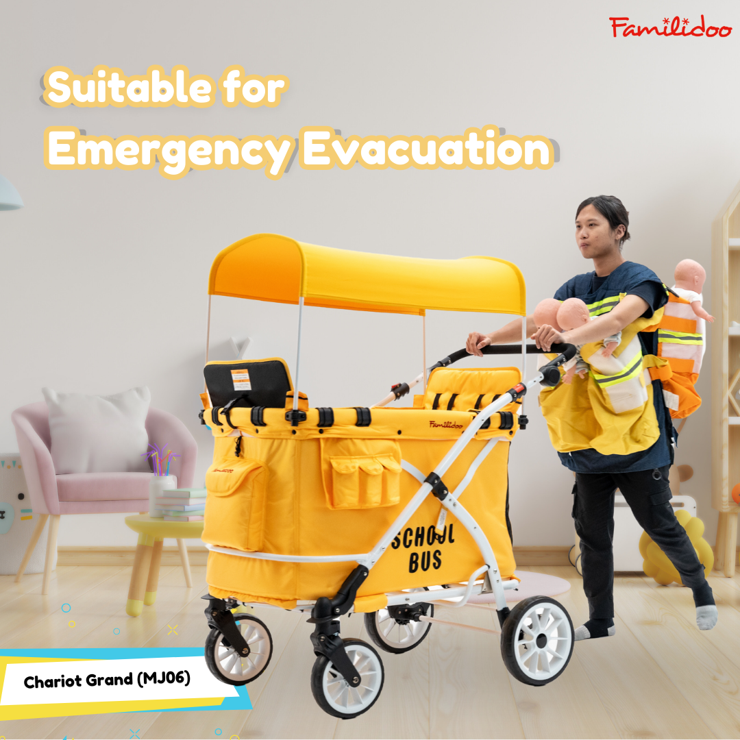 What to Do When Having an Earthquake: Essential Safety Tips for Newbor ...