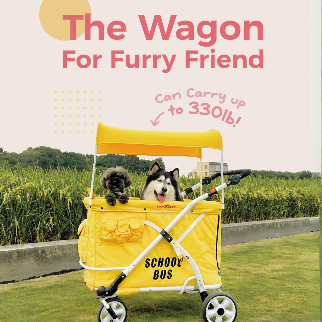 Motorized Stroller Wagon, Quad Stroller & More | Daycare Essentials ...