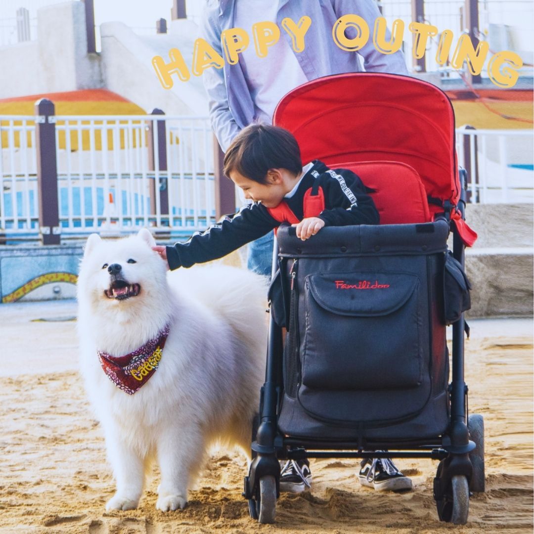 Motorized Stroller Wagon, Quad Stroller & More | Daycare Essentials ...